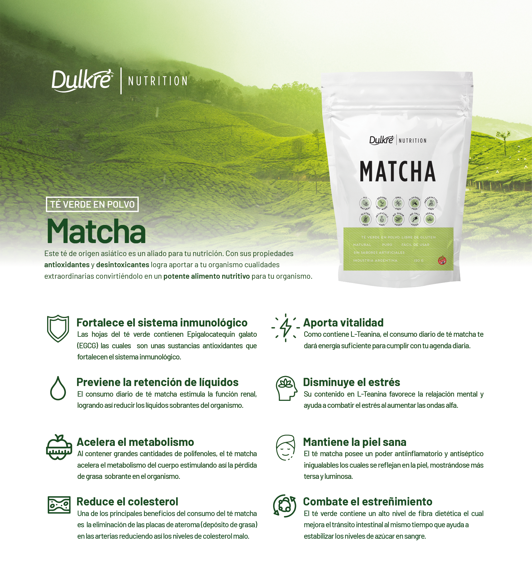 Matcha Puro en Polvo | Té Verde Premium para Bebidas y Recetas – 12