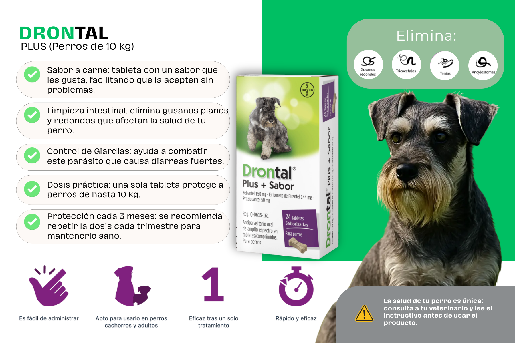 Drontal Plus Desparasitante para Perros 10 kg - Efectivo y Saborizado