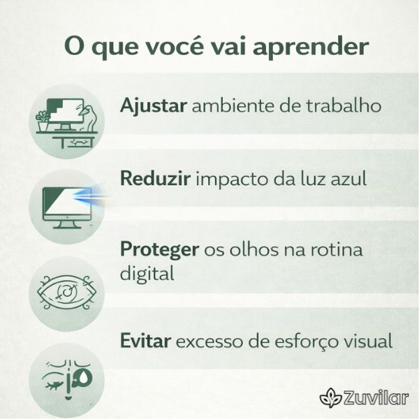 Proteja seus Olhos com o Guia Zuvilar de Cuidado Visual para Home ...