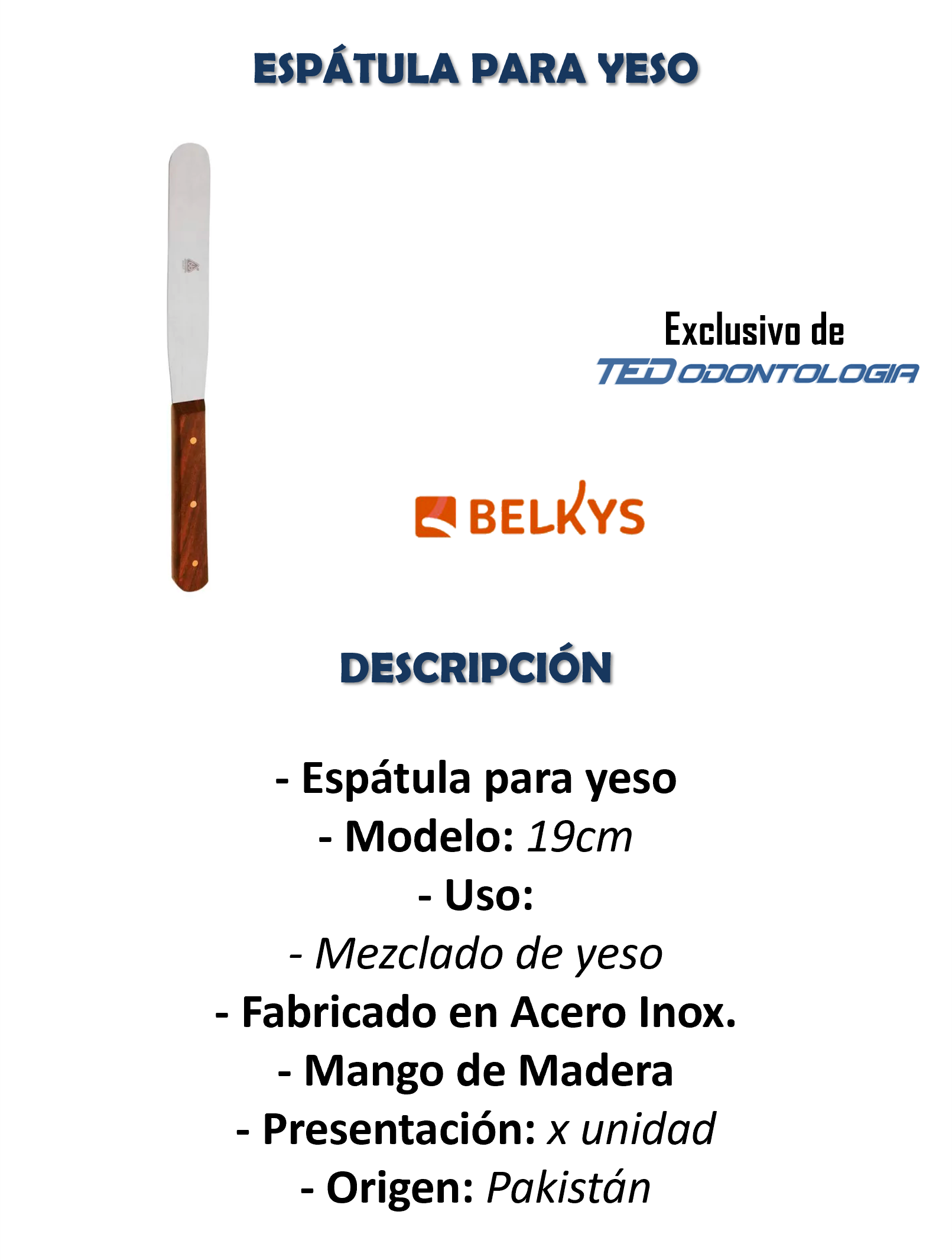 Espátula p/yeso Mango de Madera 19cm (28-066-00) Belkys