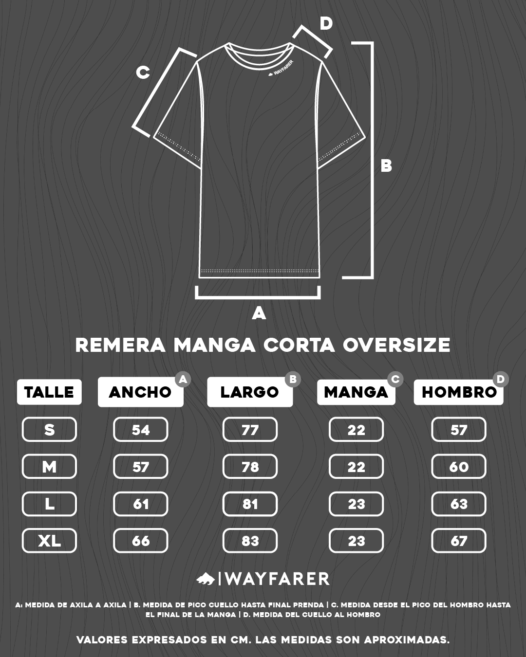 Remera Oversize Crust Gris Topo - Wayfarer 2025